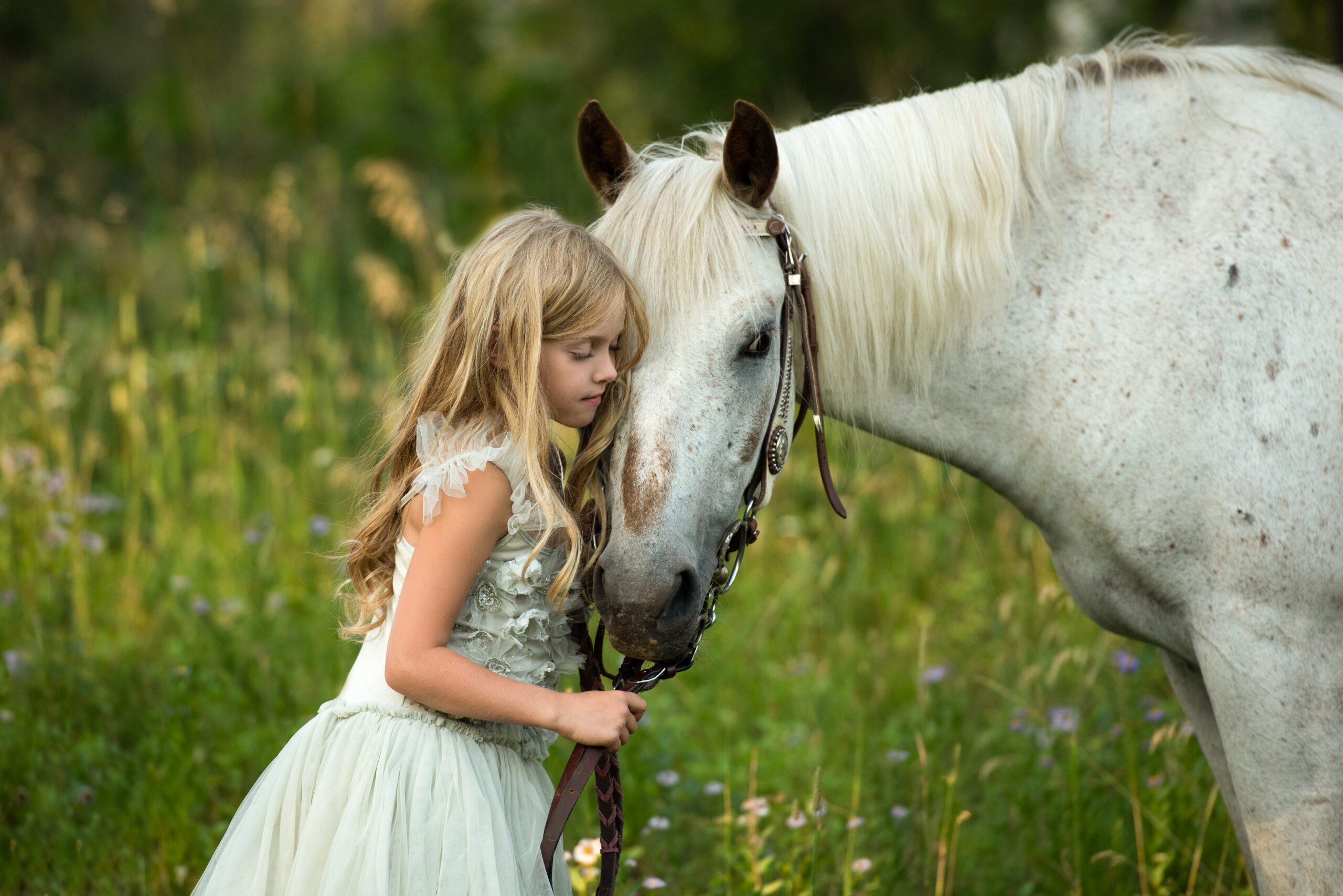 Welcome | Williams Lake Portrait Photographer - Corrie Lindroos Photography
