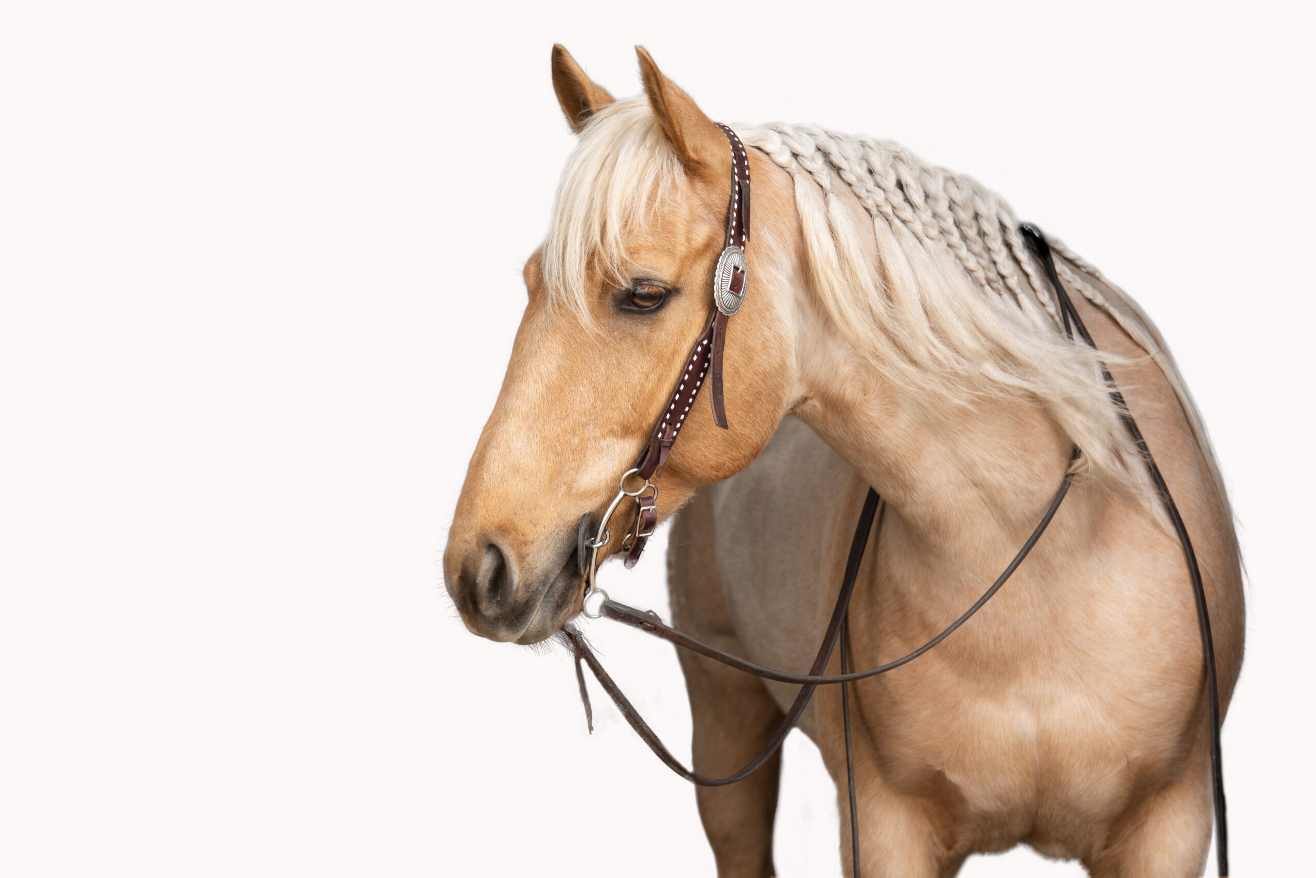 Welcome | Williams Lake Portrait Photographer - Corrie Lindroos Photography