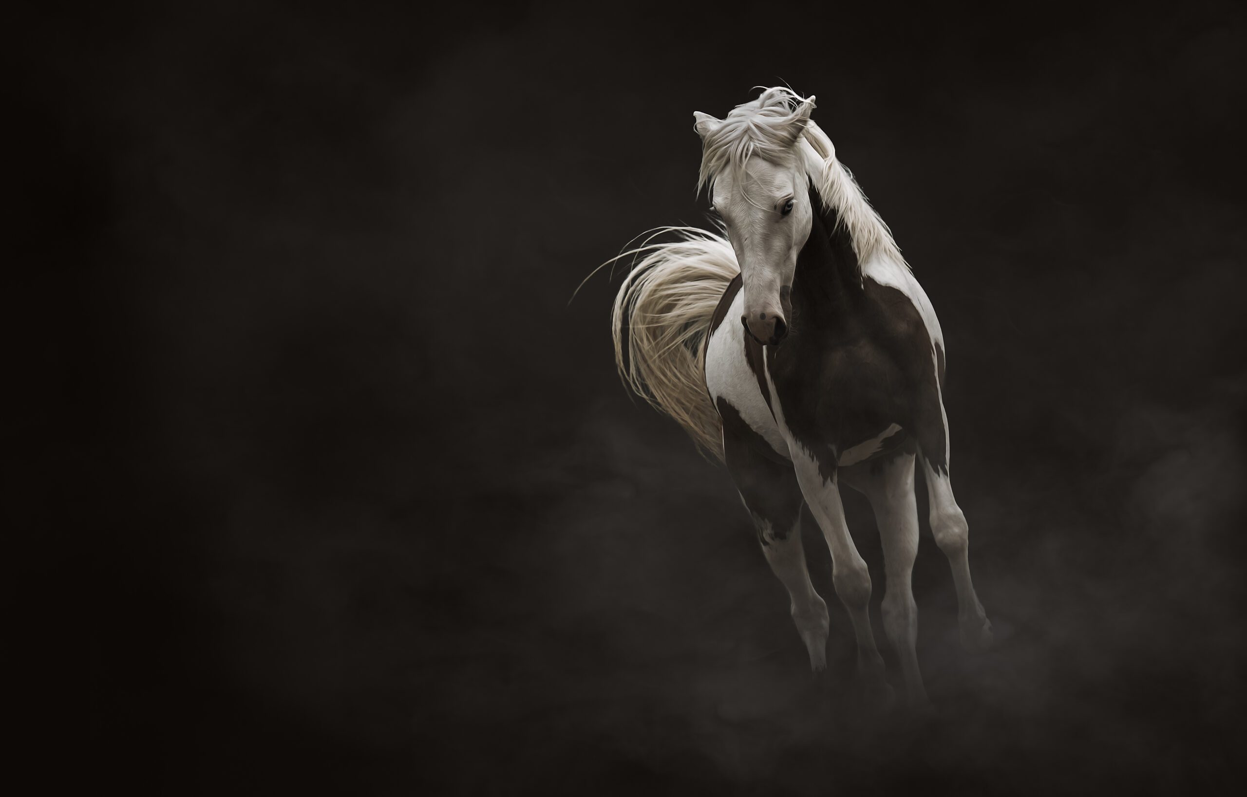 Welcome | Williams Lake Portrait Photographer - Corrie Lindroos Photography